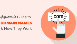 What a domain name means